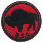 Boy Scout American Bison Patrol Medallion